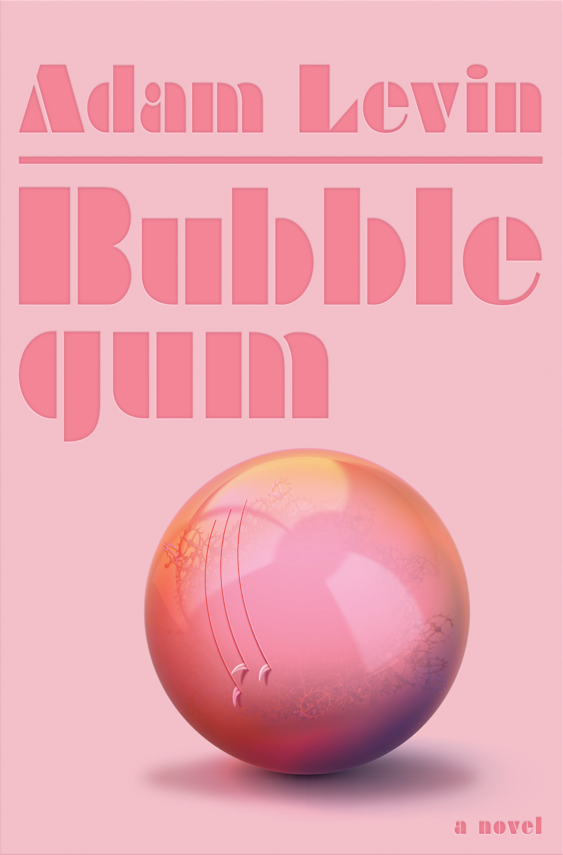 Bubblegum by Adam Levin | KBOO