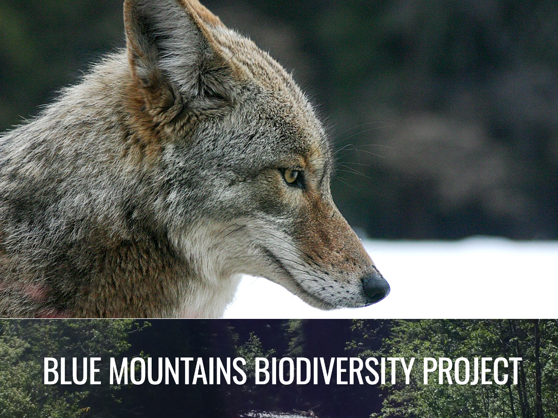 Forest Defense | KBOO