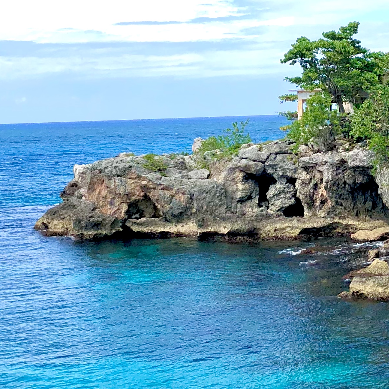 🔊Behold🔊 | KBOO