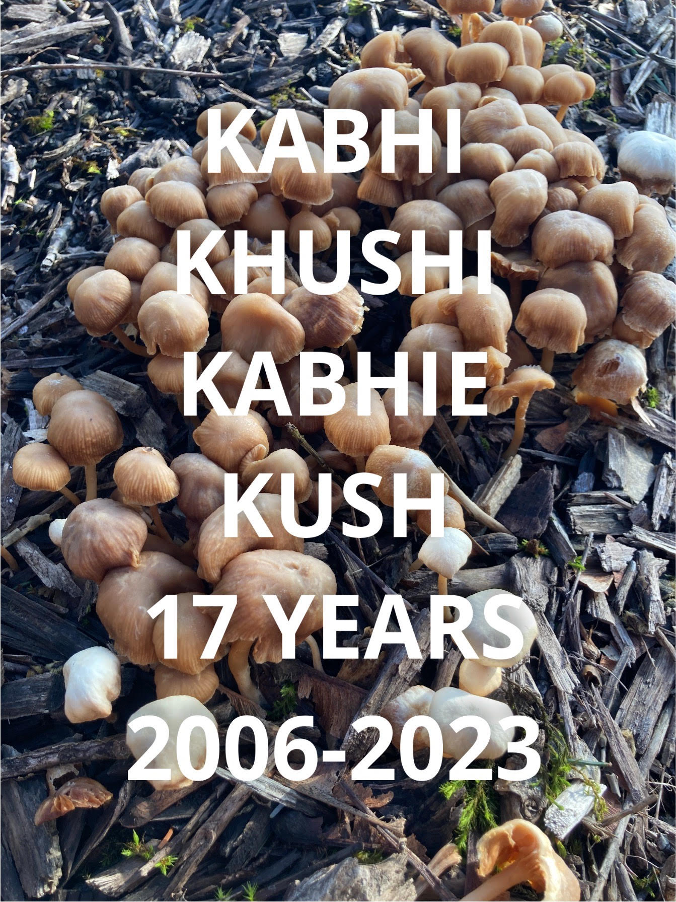 Kabhi Khushi Kabhie Kush 17-Year Anniversary Part 4 with The Incredible ...